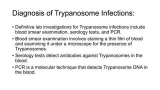 Blood parasites.pptx