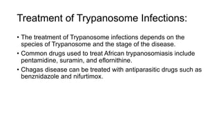 Blood parasites.pptx