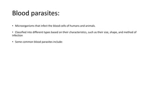 Blood parasites.pptx