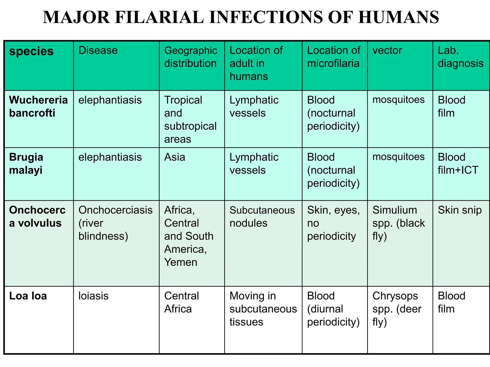 Blood parasites (1).ppt parasitology zoology | PPT