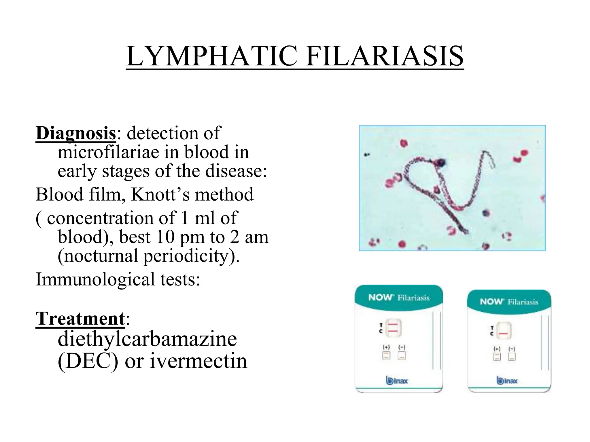 Blood parasites (1).ppt parasitology zoology | PPT
