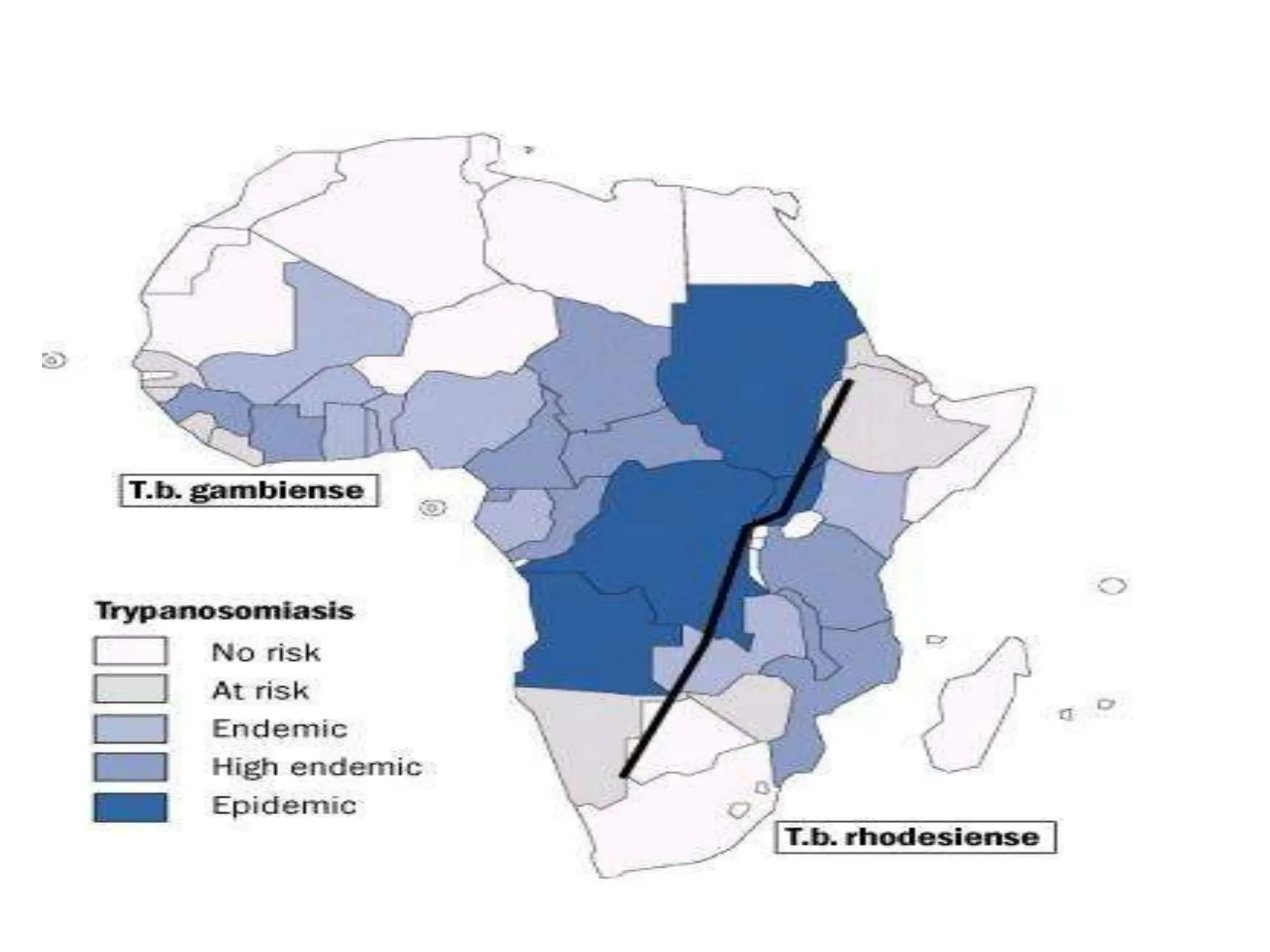 Blood parasites (1).ppt parasitology zoology | PPT