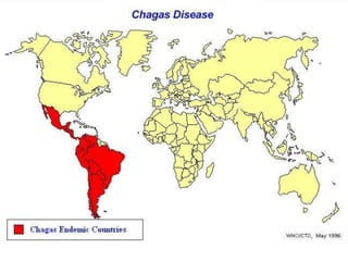 Blood parasites (1).ppt parasitology zoology | PPT