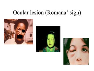 Blood parasites (1).ppt parasitology zoology | PPT