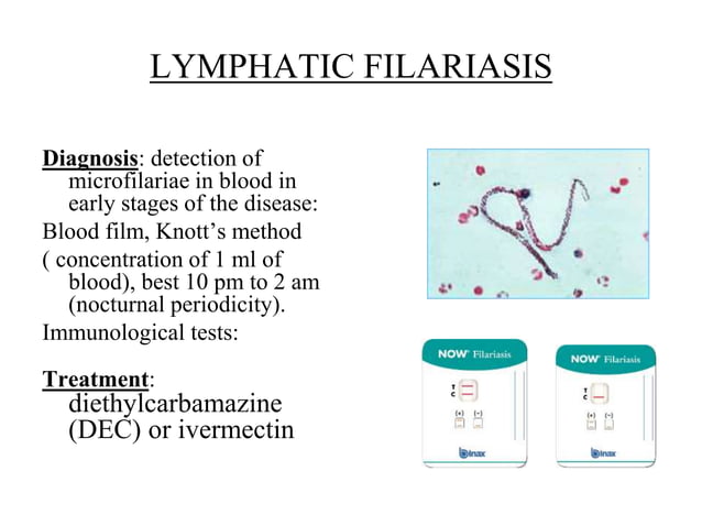 Blood parasites (1).ppt parasitology zoology | PPT