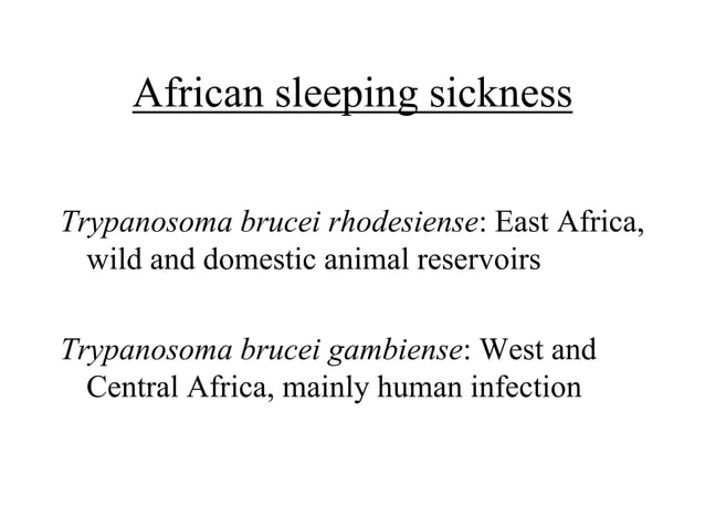 Blood parasites (1).ppt parasitology zoology | PPT
