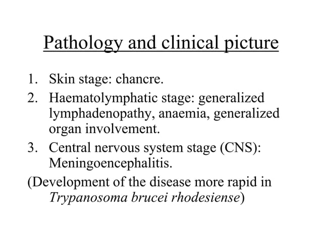 Blood parasites (1).ppt parasitology zoology | PPT