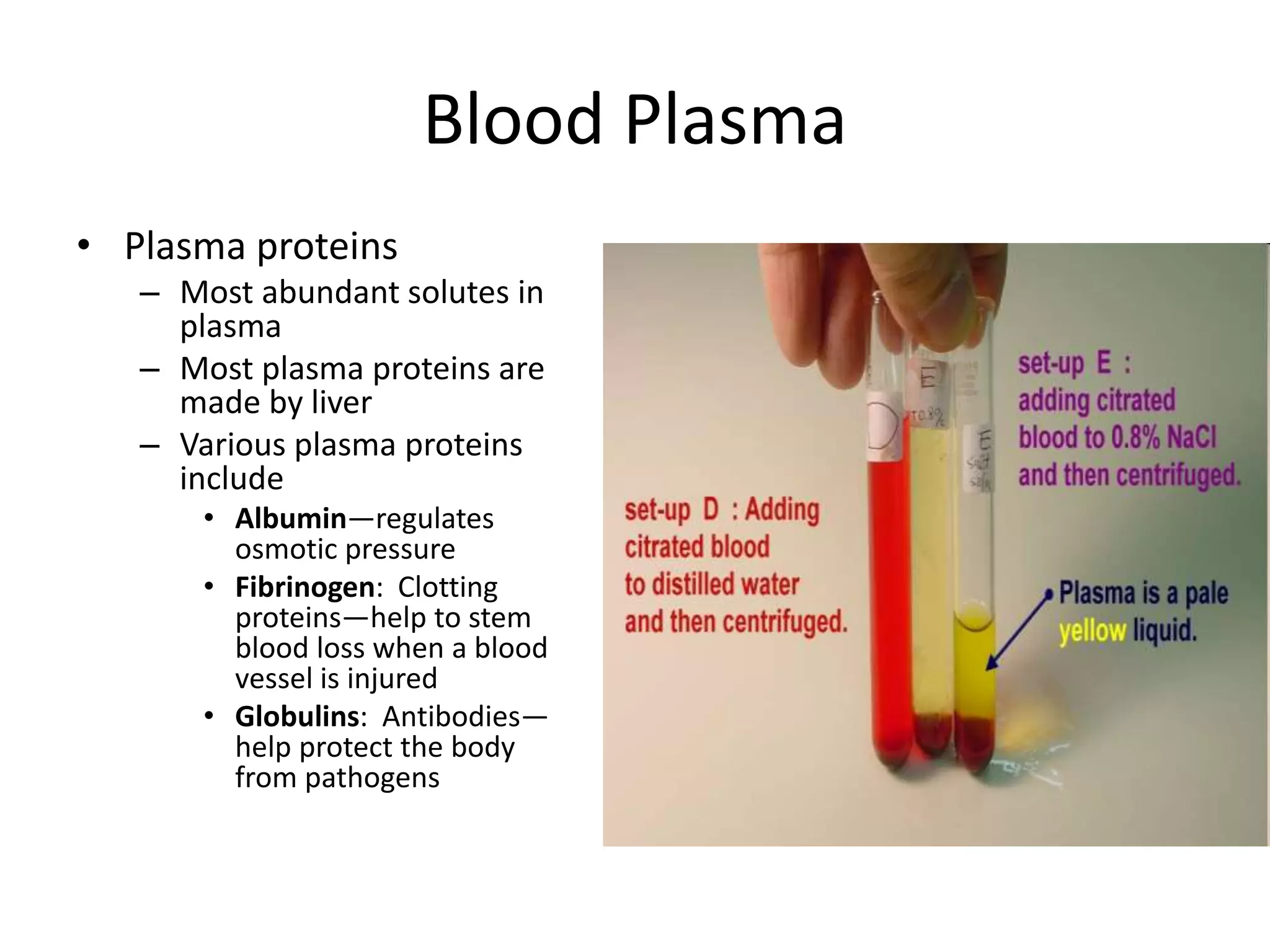 Blood Part 1.pptx