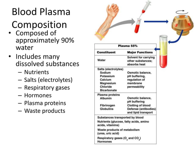 Blood Part 1.pptx