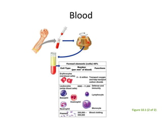 Blood Part 1.pptx