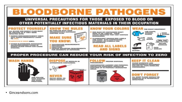 bloodborne pathogens may enter your system through