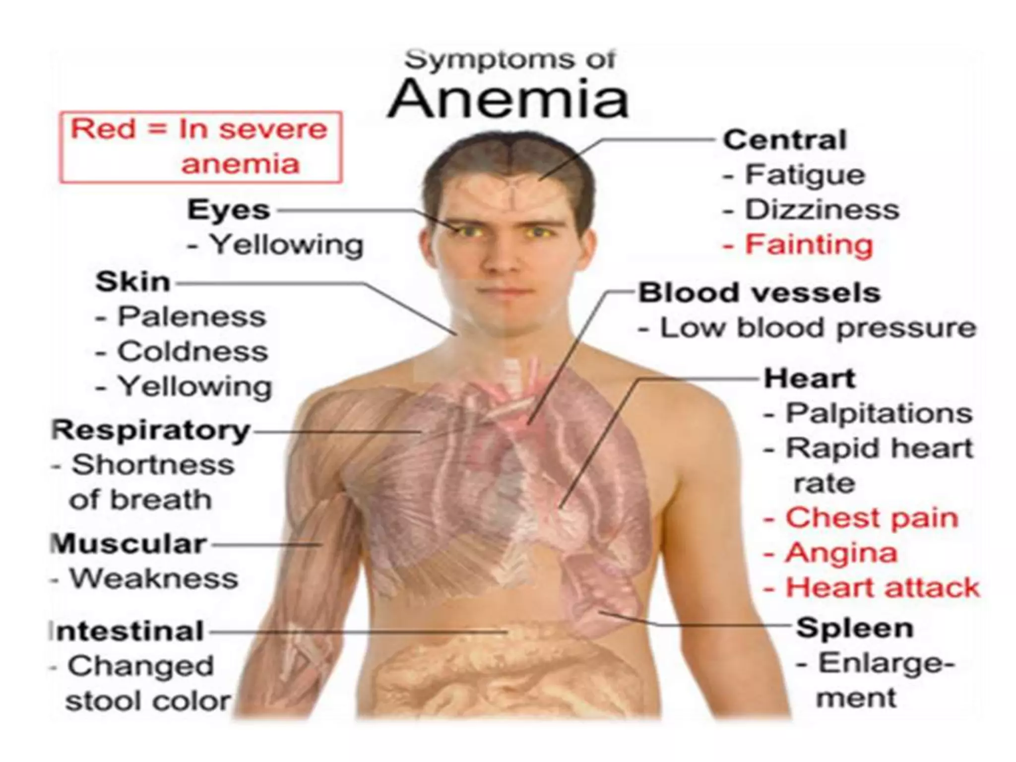 Blood pathophysiology | PPTX