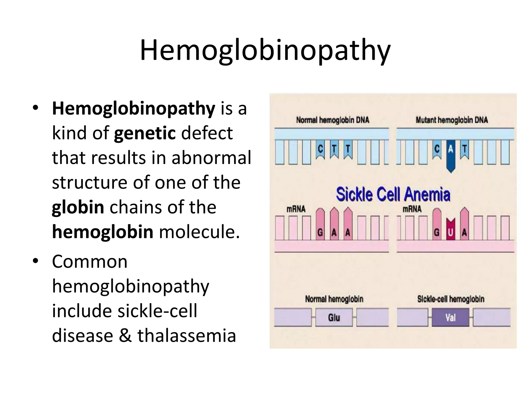 Blood pathophysiology | PPTX