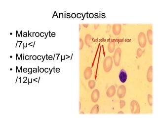 Blood pathophysiology | PPTX