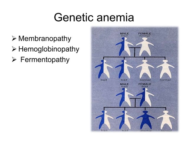 Blood pathophysiology | PPTX | Blood Disorders | Diseases and Conditions