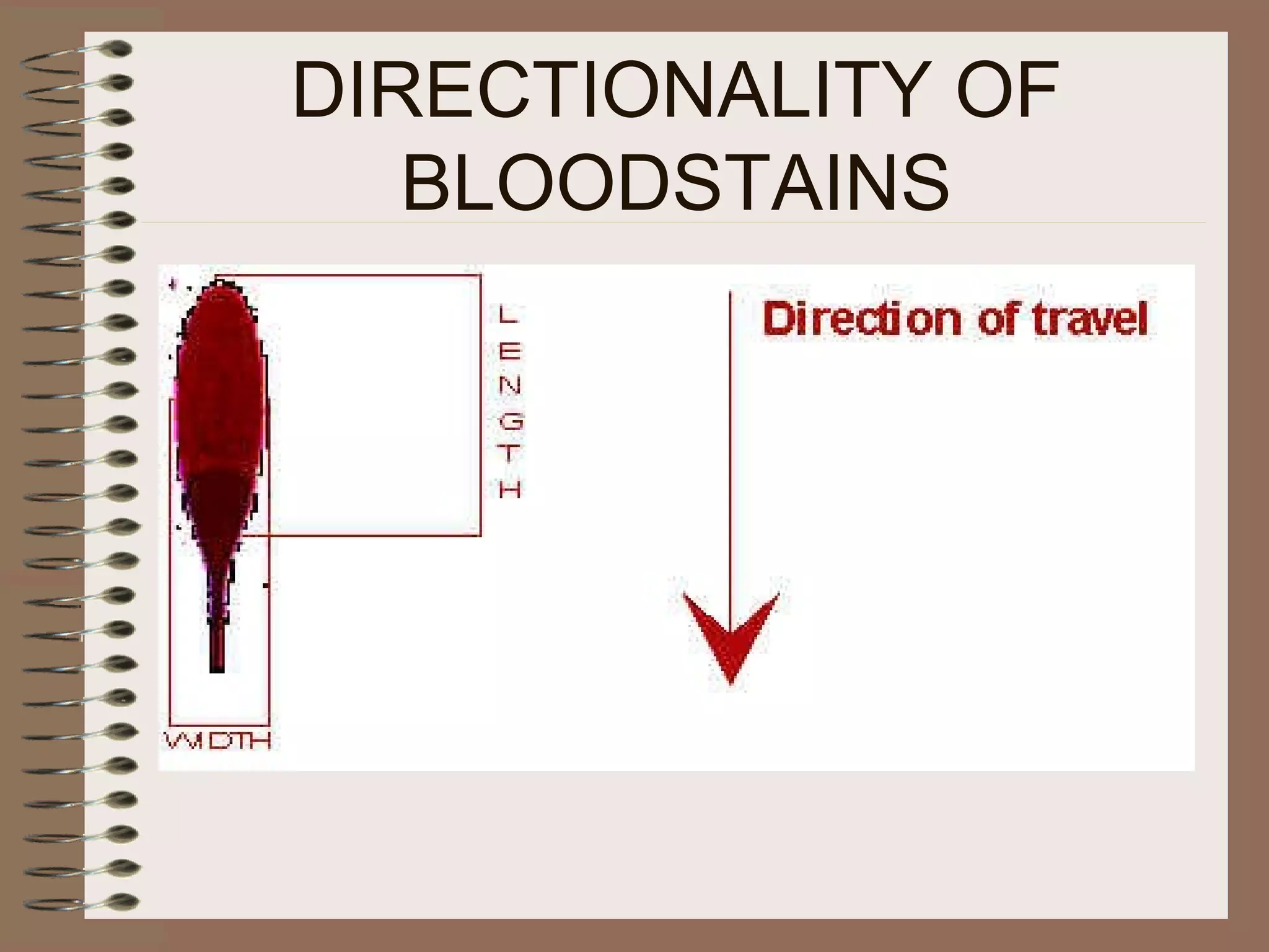Blood pattern analysis | PPT