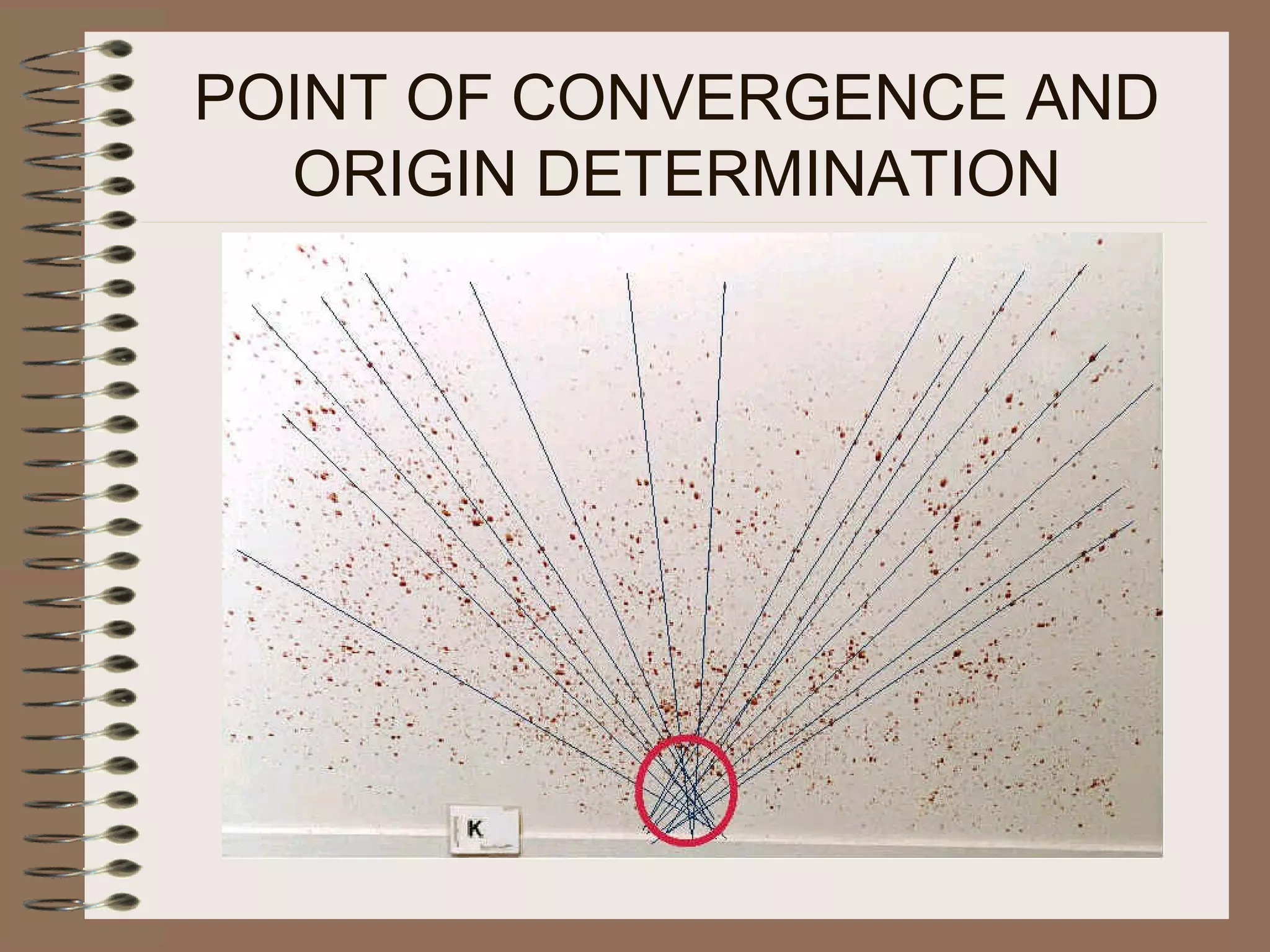 Blood pattern analysis | PPT