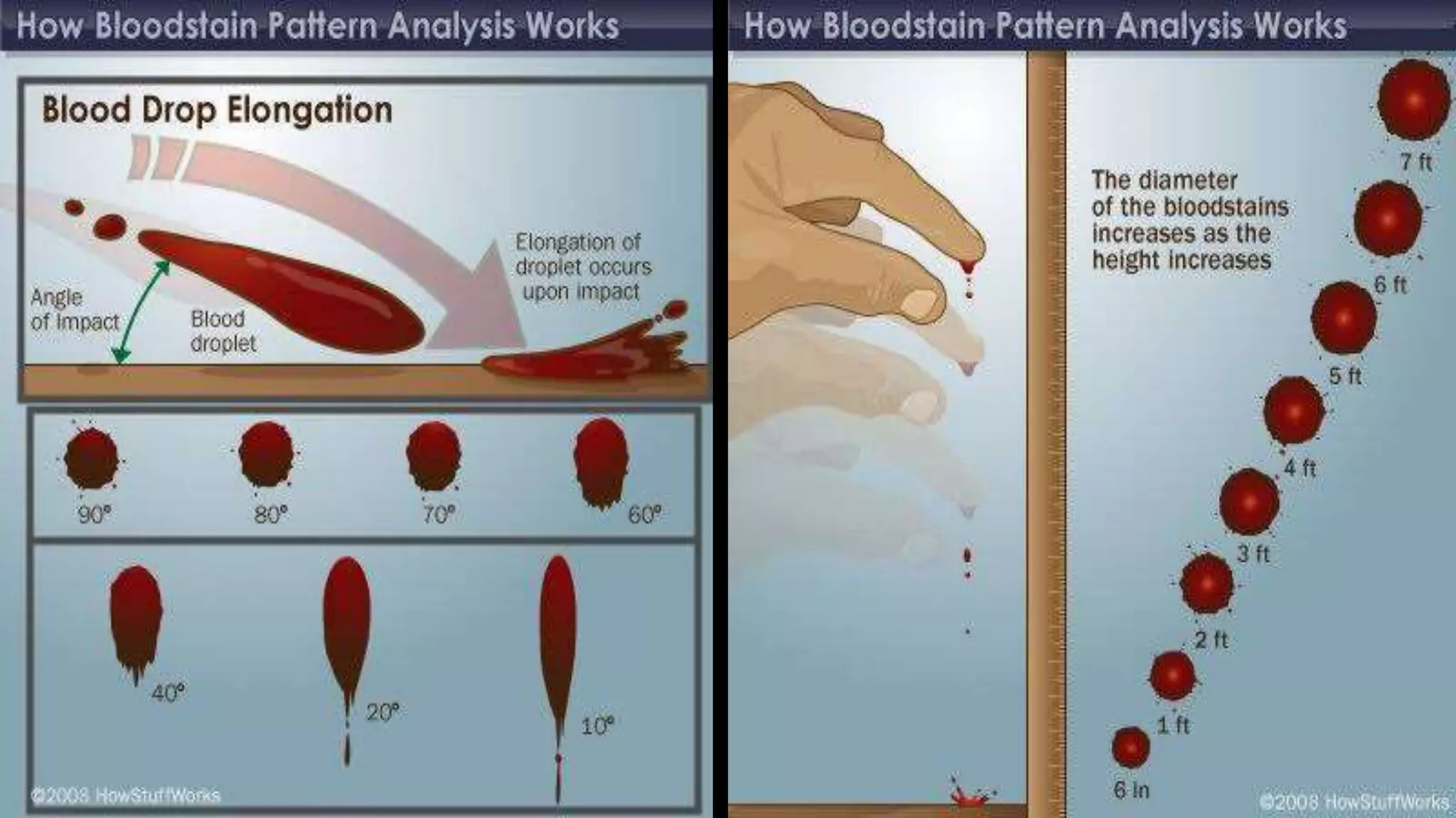 Blood pattern analysis | PPT