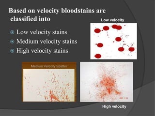 Blood pattern analysis.pptx | Blood Disorders | Diseases and Conditions
