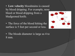 Blood pattern analysis.pptx
