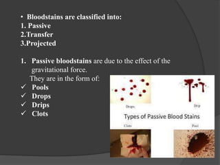 Blood pattern analysis.pptx | Blood Disorders | Diseases and Conditions