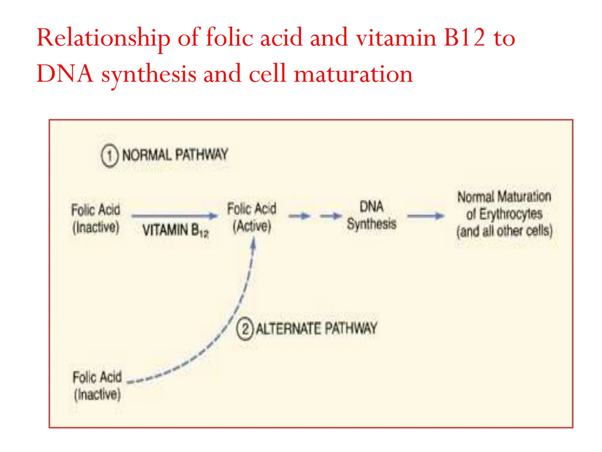 Blood Pharmacology (1).pdf ghjjgfdxcghu | PDF