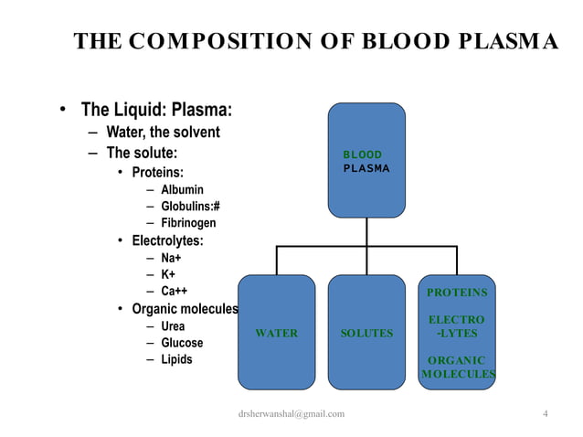 Blood Phisyo 4m Scribed | PPT