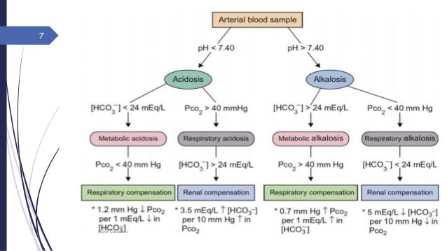 Blood ph regulation new 2016