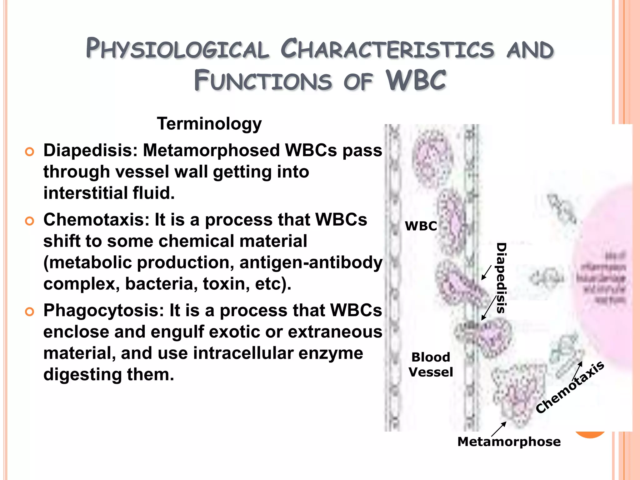 Blood physiology | PPTX
