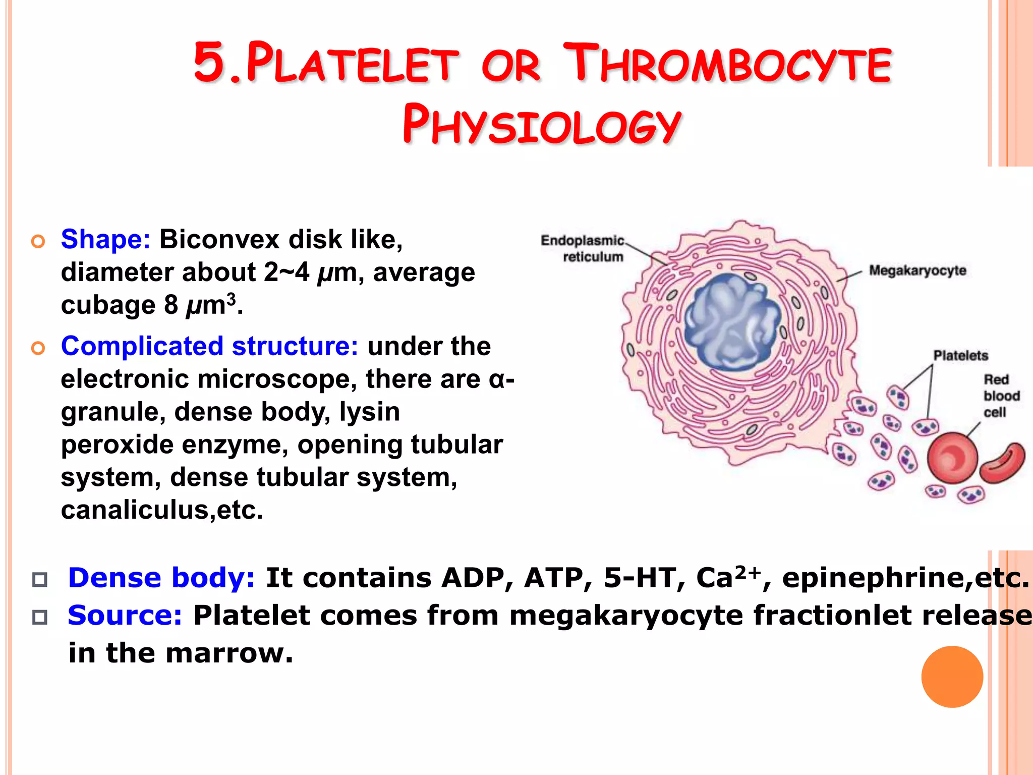 Blood physiology | PPTX