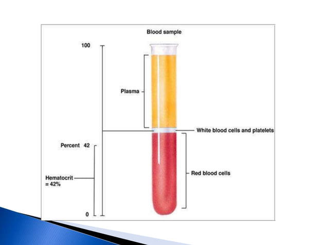 BLOOD PHYSIOLOGY | PDF | Blood Disorders | Diseases and Conditions