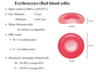 Blood Physiology.pptx