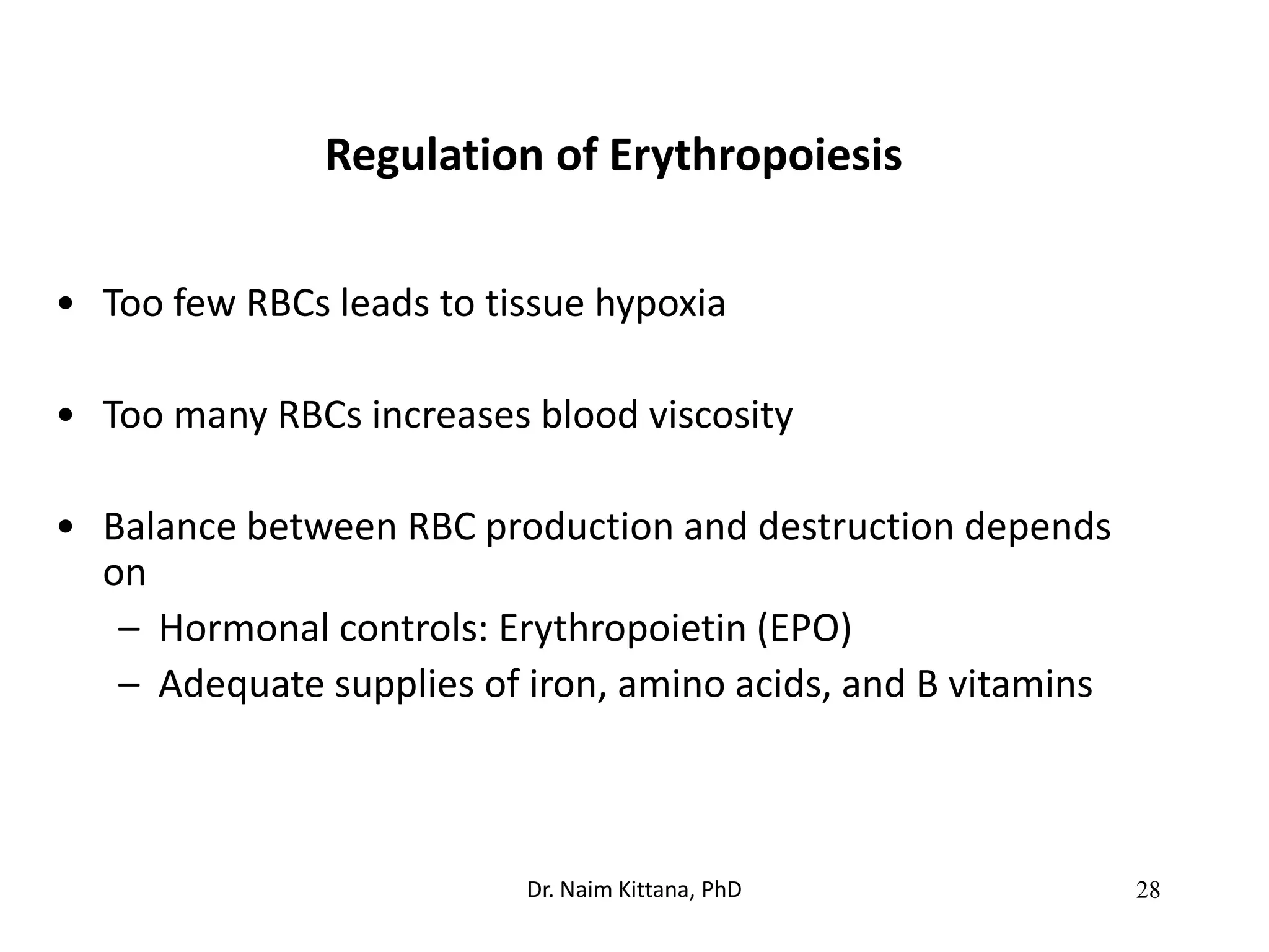 Blood physiology.pdf