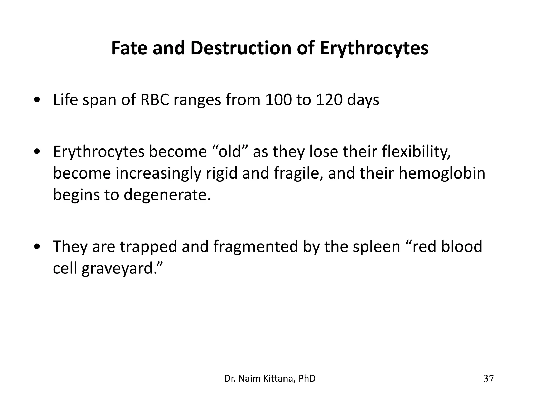 Blood physiology.pdf