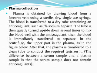 BLOOD PHYSIOLOGY Ass.Lec Hussein Hamid Al-hichamy | PPT