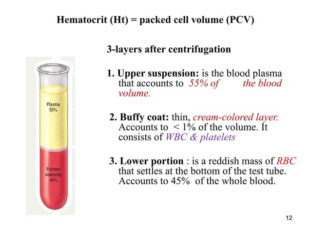 Blood Physiologyerwyiooasdfghjklzxc.pptx | Blood Disorders | Diseases ...