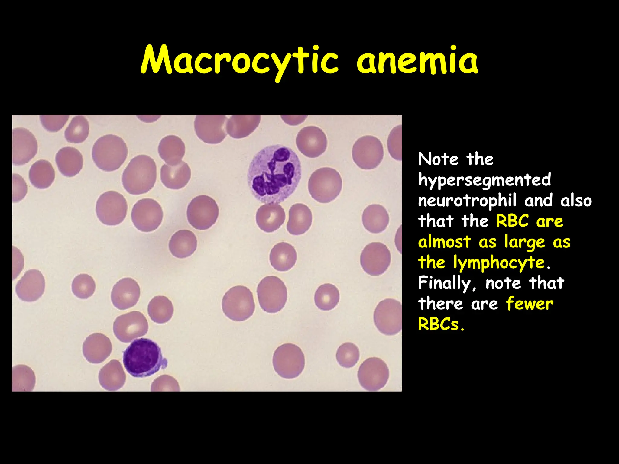 Clinical aspects of Blood Physiology.ppt