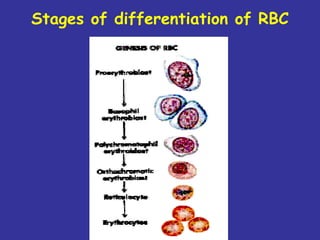 Clinical aspects of Blood Physiology.ppt