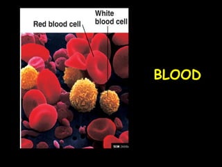 Clinical aspects of Blood Physiology.ppt