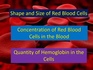 Blood Physiology and Immunity | PPTX