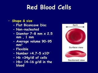 BLOOD PHYSIOLOGY white blood cells red blood cells | PPT