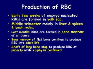 BLOOD PHYSIOLOGY white blood cells red blood cells | PPT
