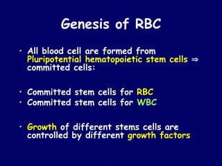 BLOOD PHYSIOLOGY white blood cells red blood cells | PPT