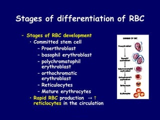 BLOOD PHYSIOLOGY white blood cells red blood cells | PPT