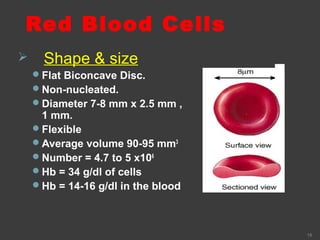 Blood physiologyl[lecture 1] 1432 | PPT