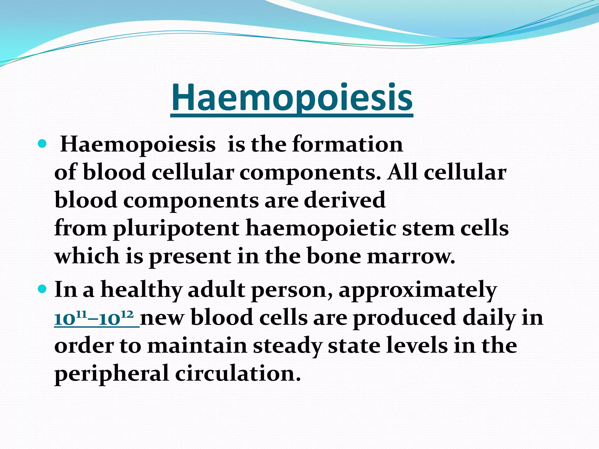 Blood Physiology - Ppt | PPTX