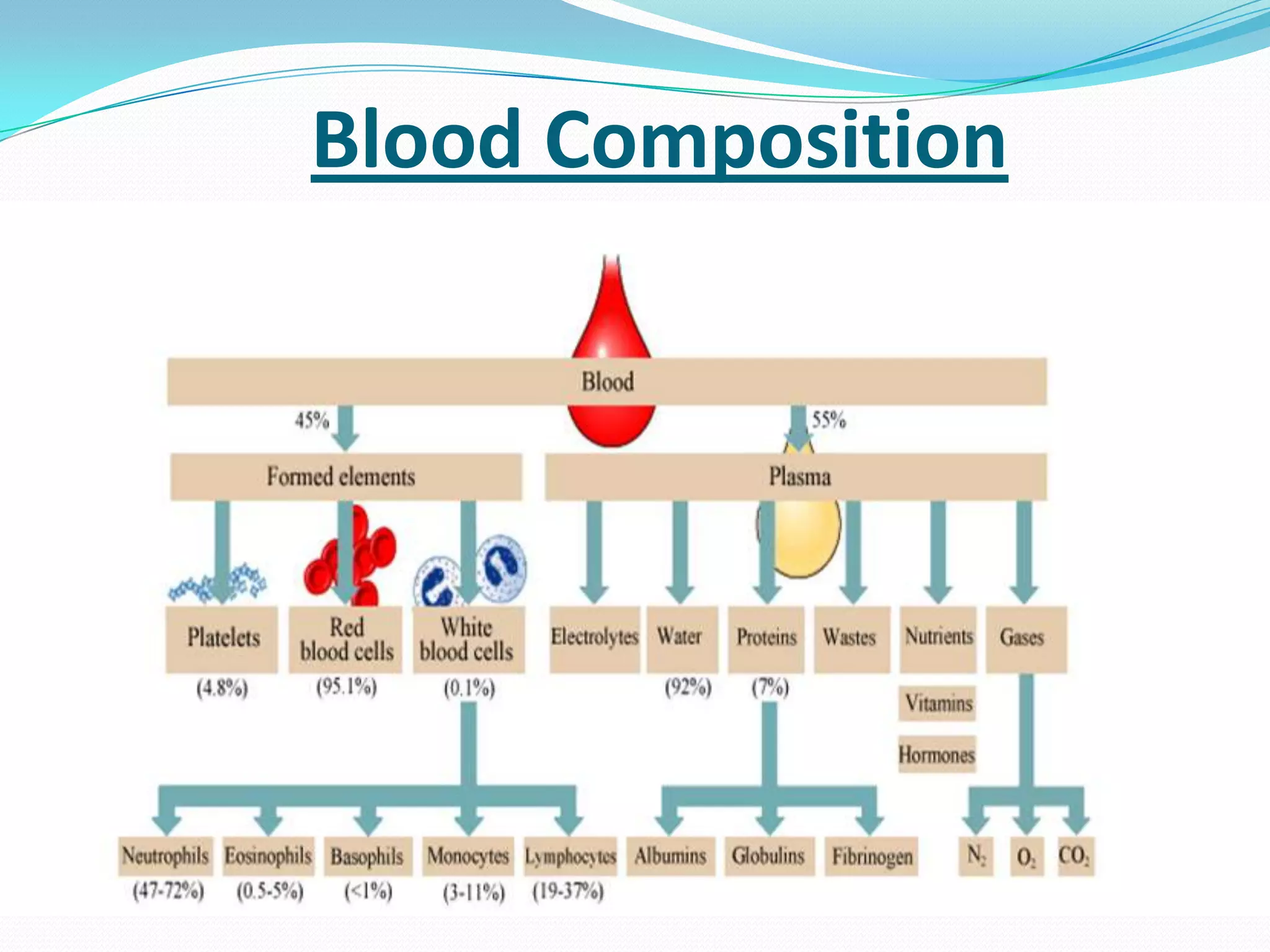 Blood Physiology - Ppt | PPTX