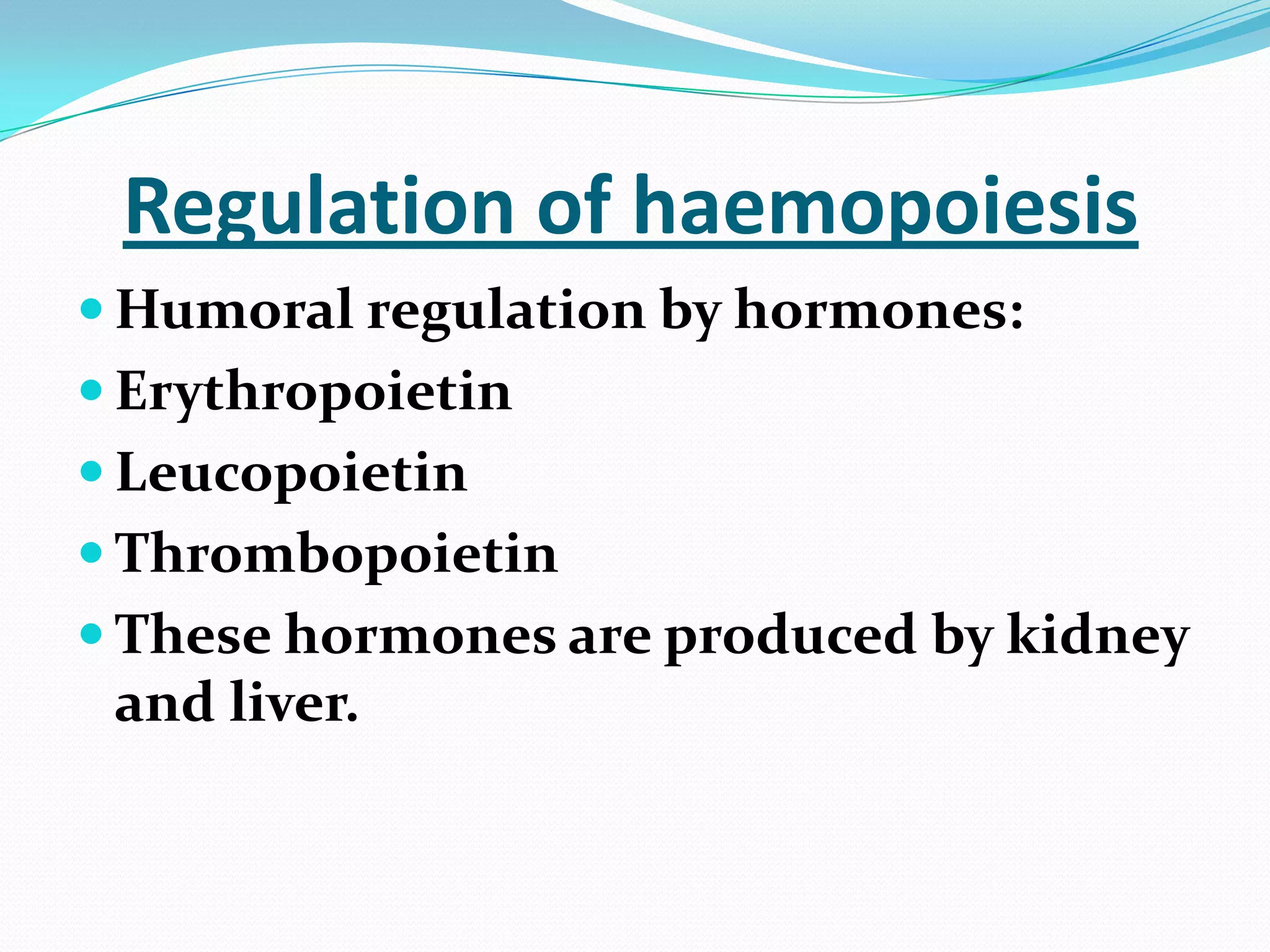 Blood Physiology - Ppt | PPTX