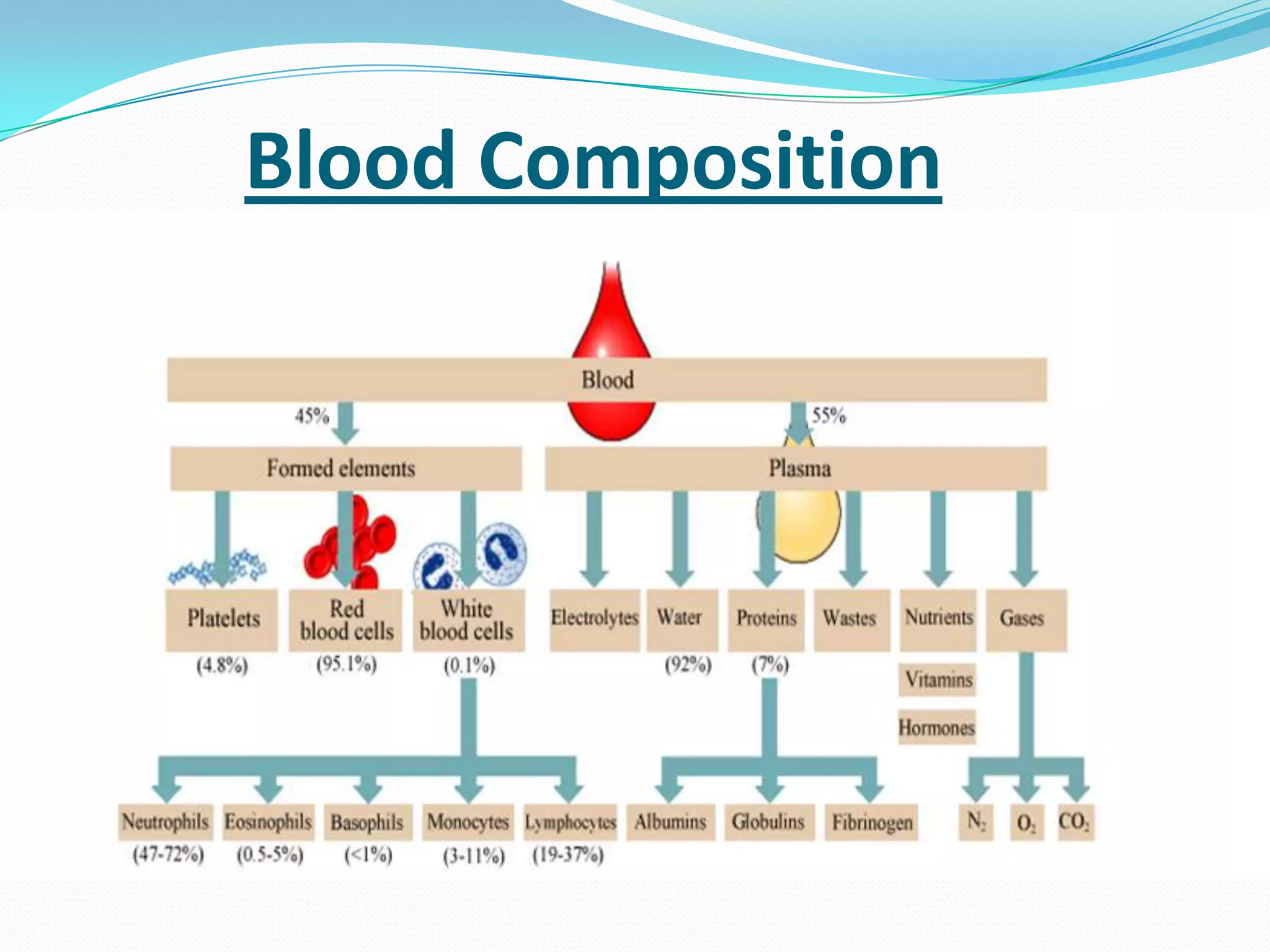 Blood Physiology - Ppt | PPTX