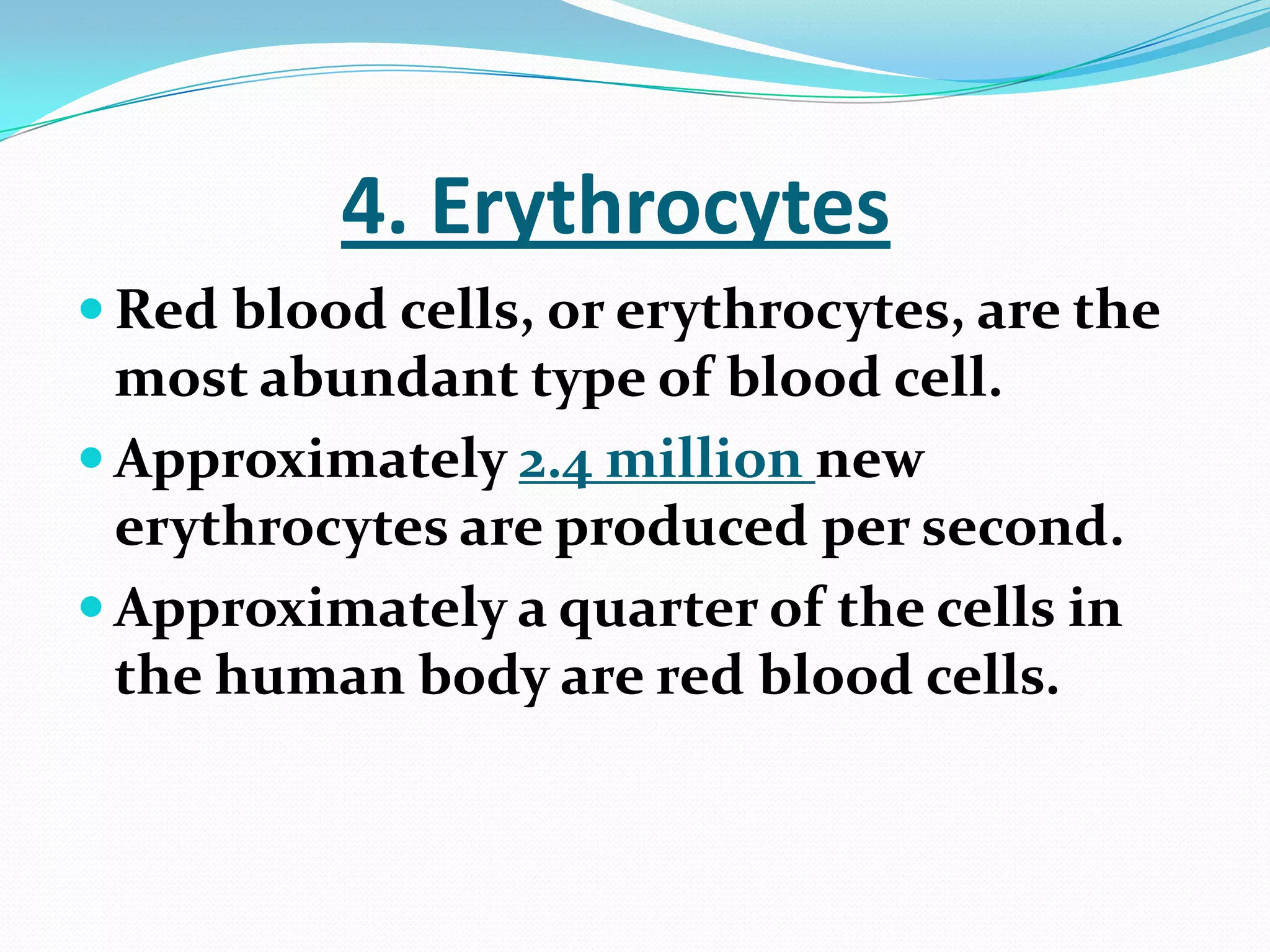 Blood Physiology - Ppt | PPTX